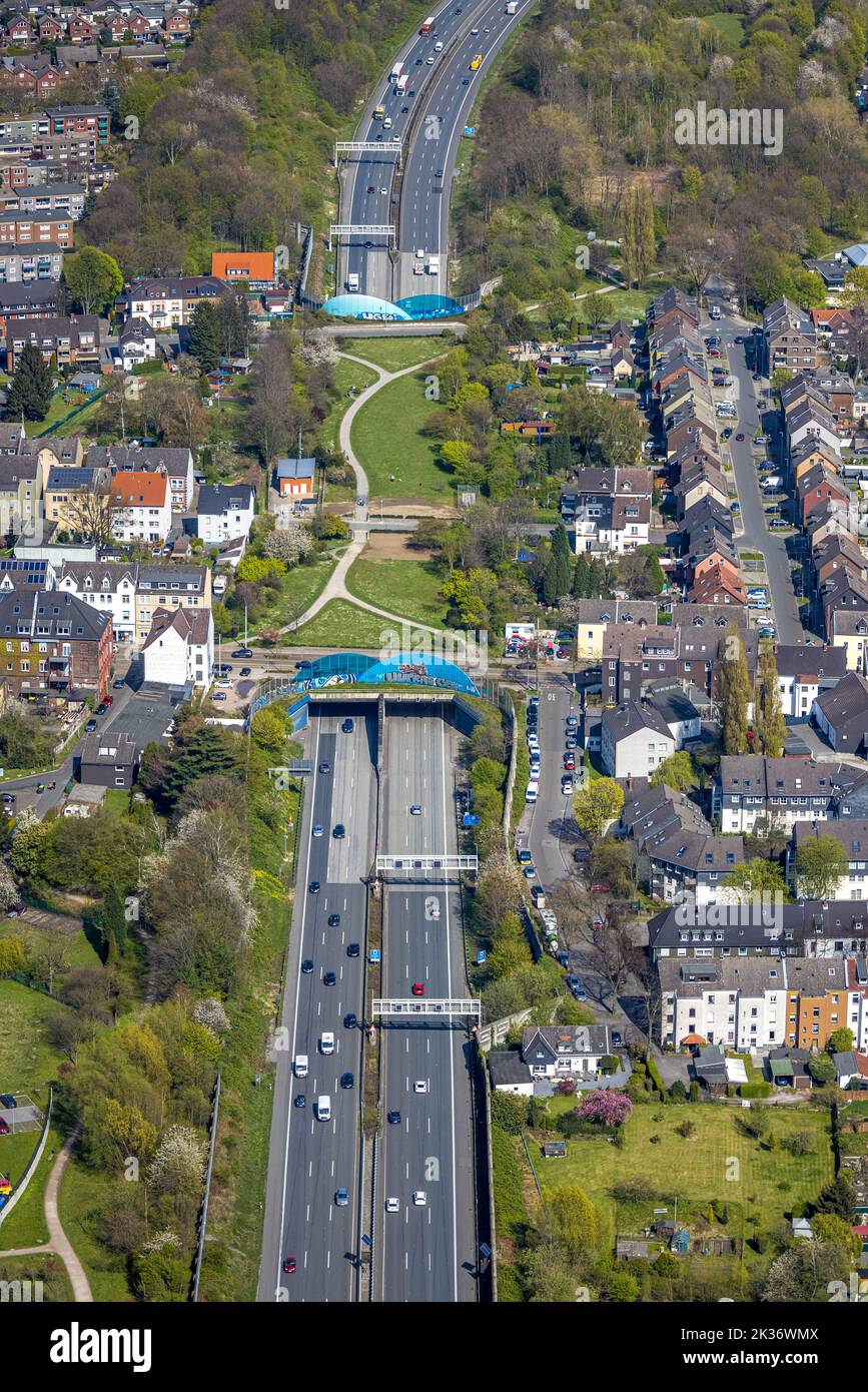 Tunnel di ontano immagini e fotografie stock ad alta risoluzione - Alamy