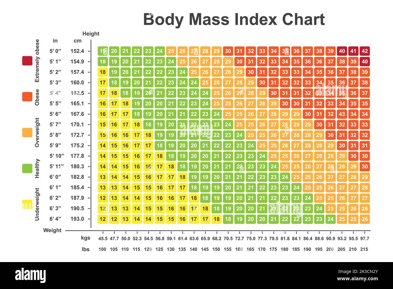 Indice di massa corporea (BMI). BMI Calculator per controllare l'indice di massa corporea ...