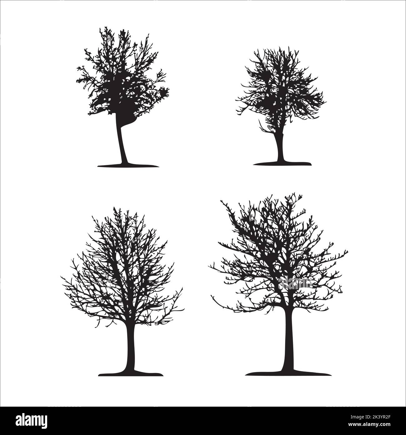 Siluetas de silueta siluetas de árboles siluetas de árboles Foto e ...
