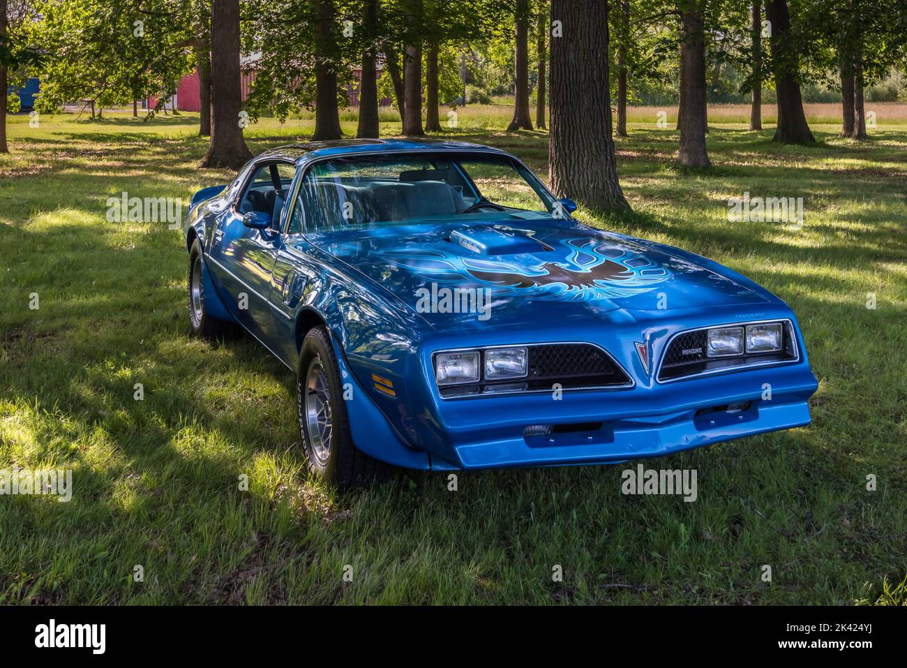 Vintage pontiac firebird trans am immagini e fotografie stock ad alta ...