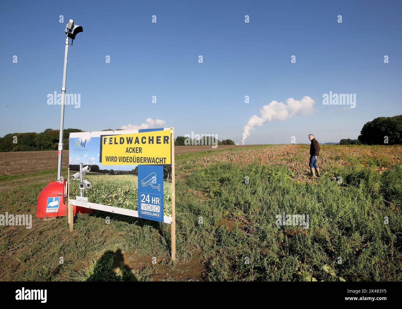 Stealing apples immagini e fotografie stock ad alta risoluzione - Alamy