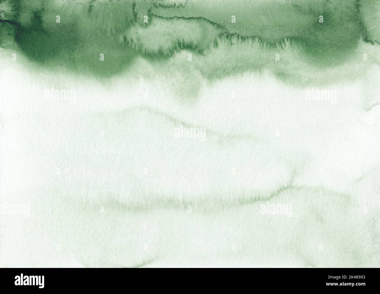 Acquerello verde ombre sfondo texture. Sfondo sfumato di colore verde ...