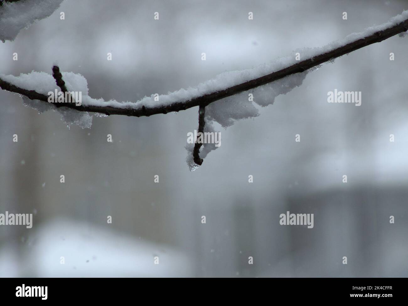 Pinturas de paisajes de invierno de artistas famosos immagini e ...