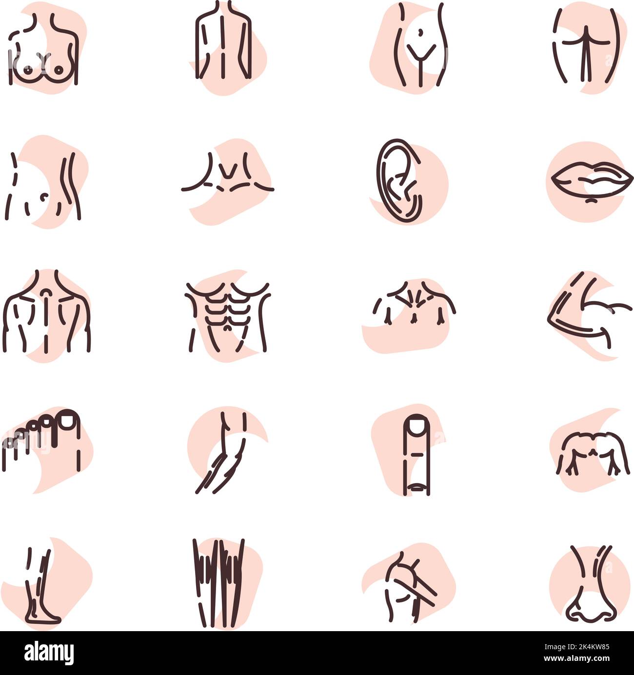 Vectores de partes del cuerpo humano Immagini senza sfondo e Foto Stock ...