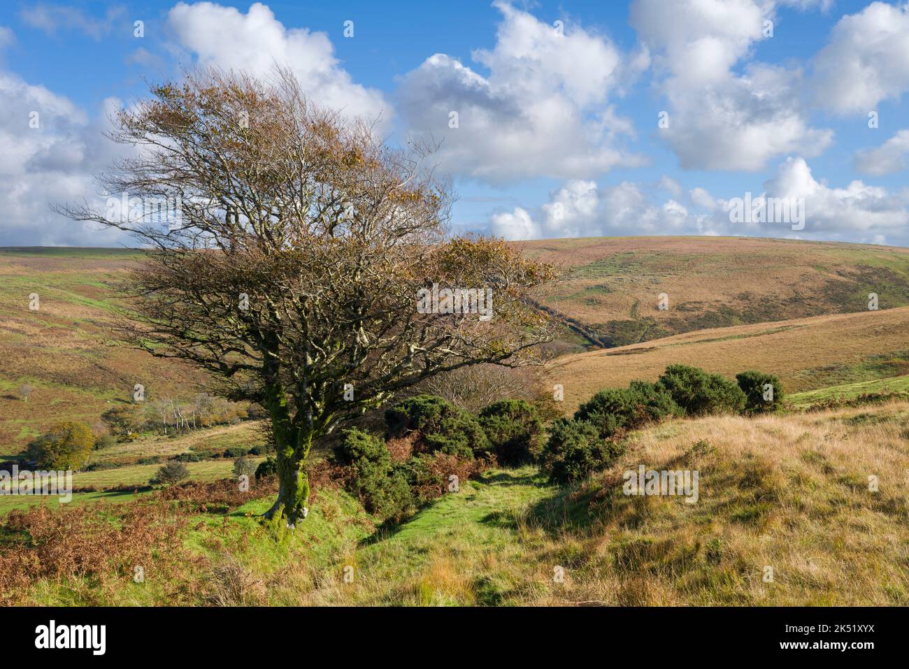 Paesaggi di pianura immagini e fotografie stock ad alta risoluzione - Alamy