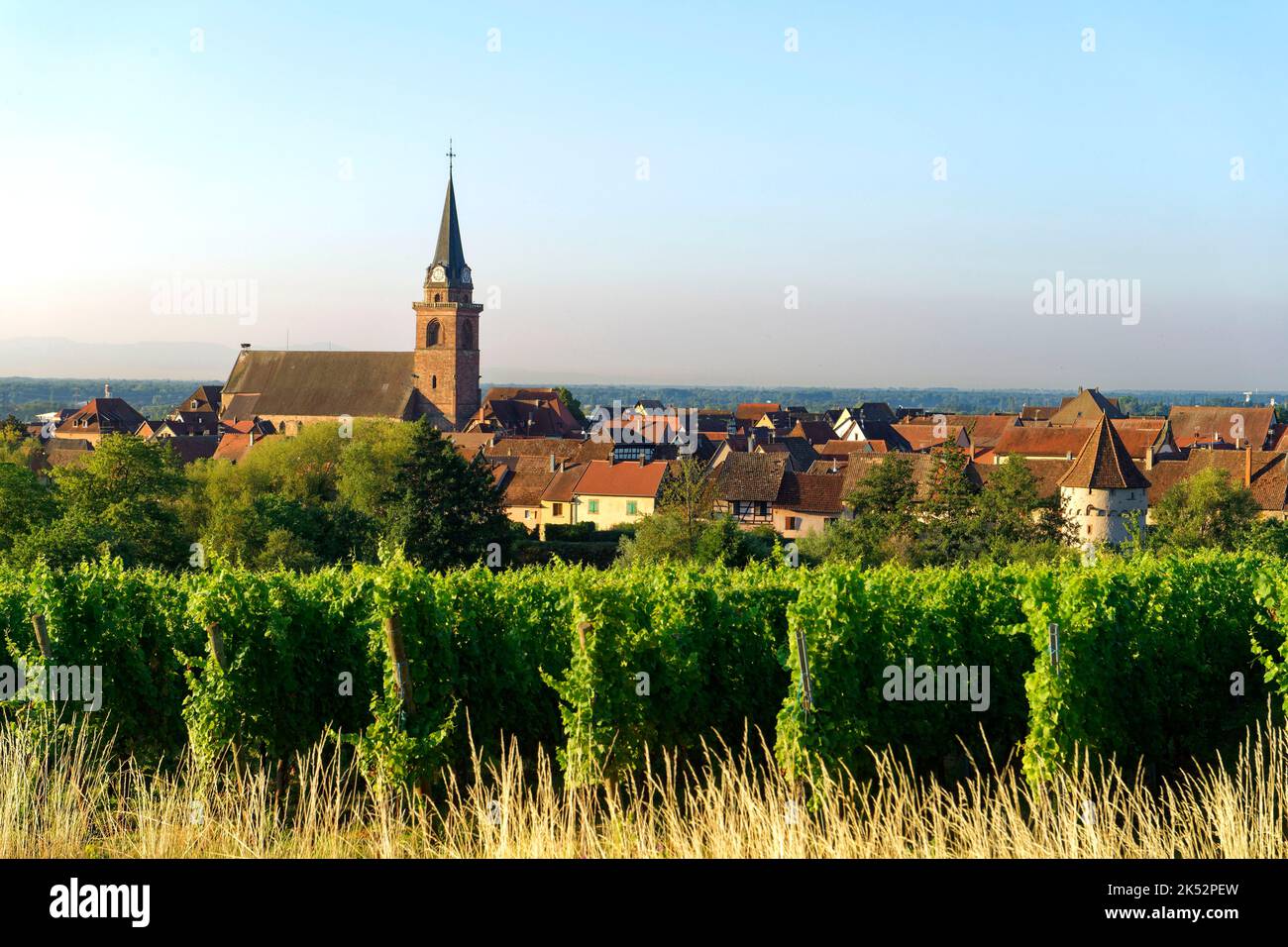 Francia, Alto Reno, strada del vino dell'Alsazia, Bergheim, antica ...