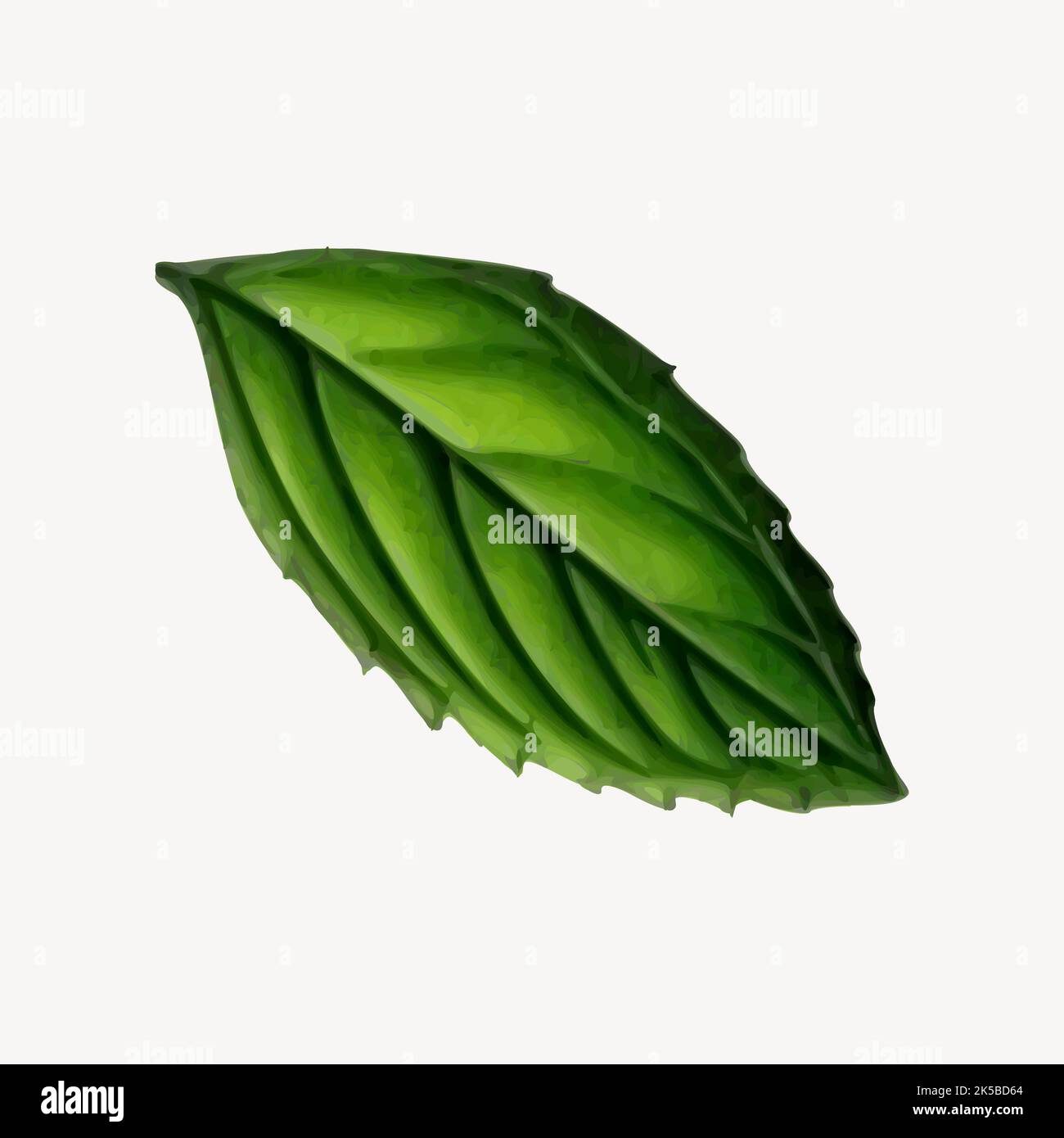 svg, foglie, svg, pianta, testo, spazio vuoto, botanica, adesivo bullet ...