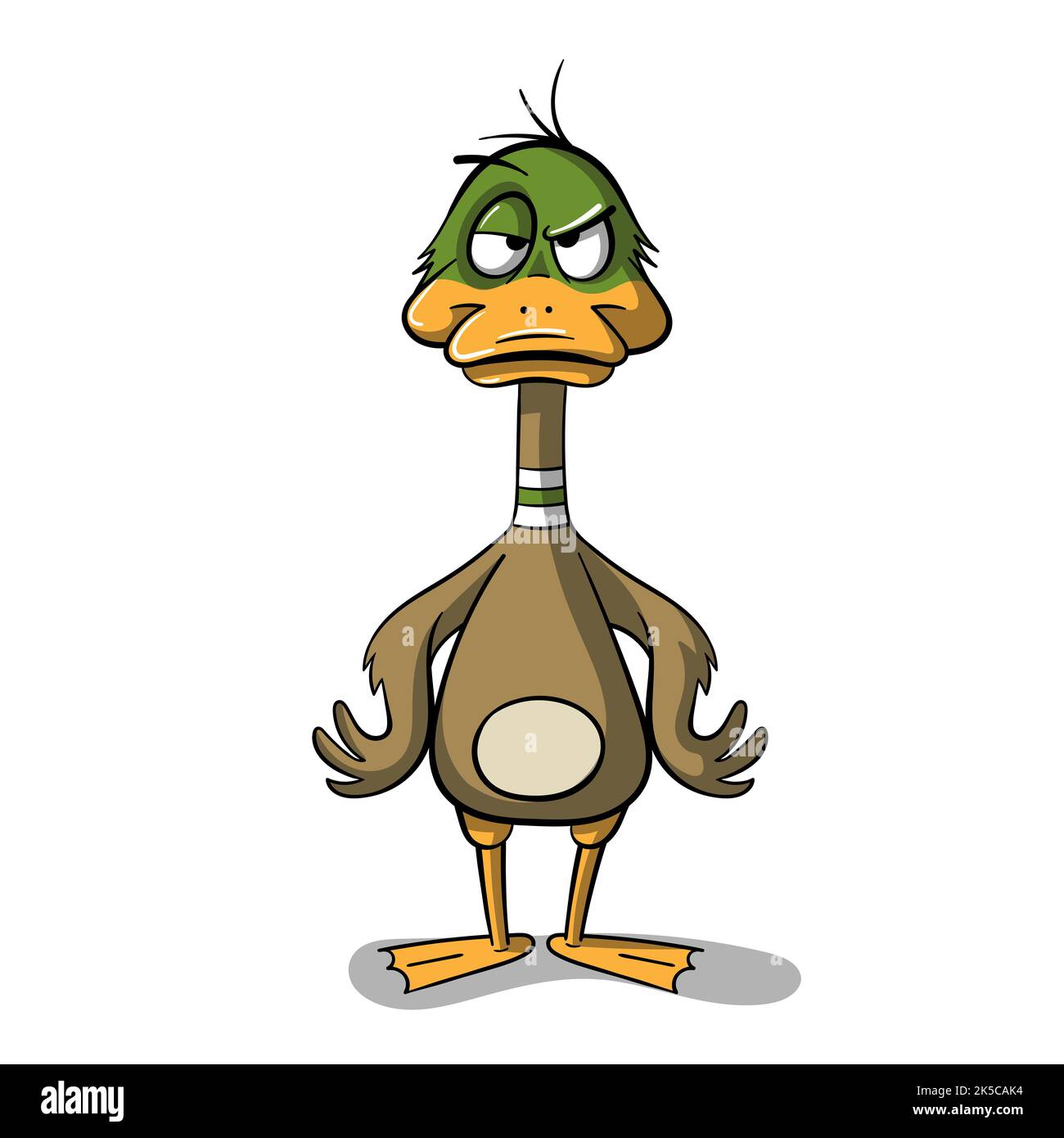 Hand drawn duck Immagini senza sfondo e Foto Stock ritagliate - Alamy