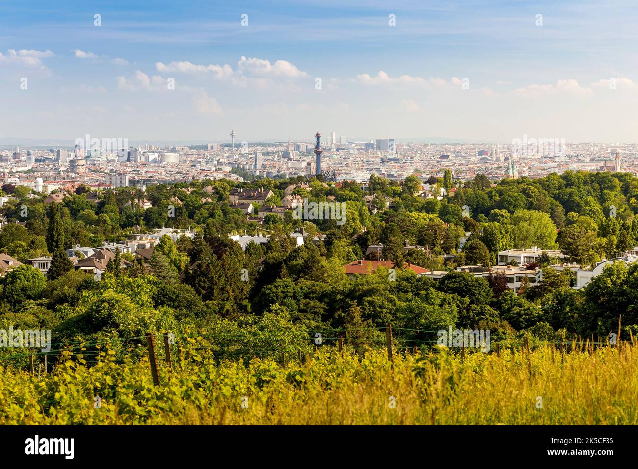 Guarda ai boschi di vienna immagini e fotografie stock ad alta ...
