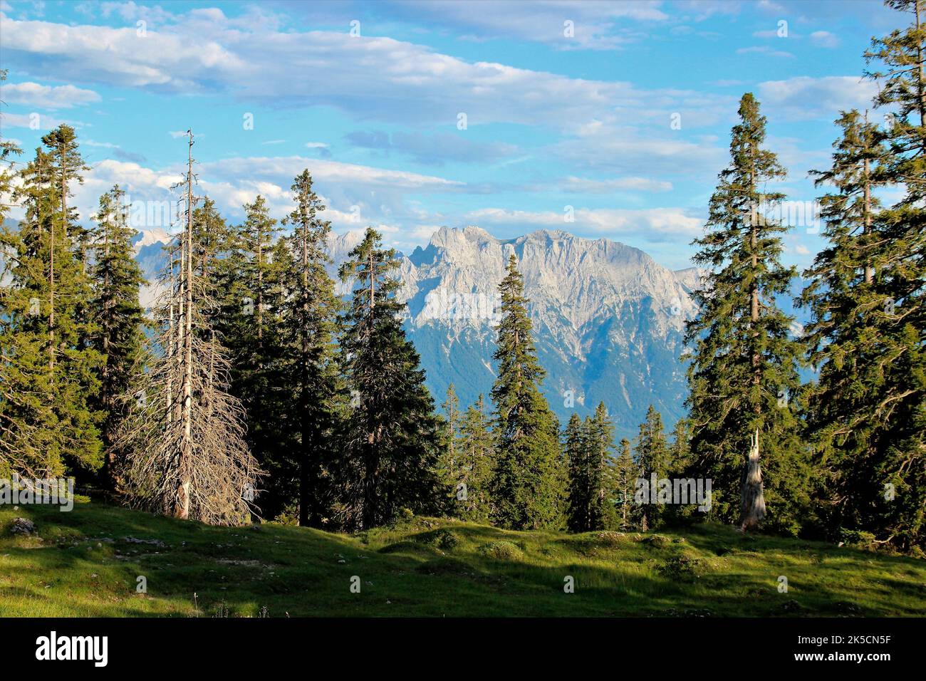 Escursione a Krüner Alm, (1621 m), tramonto, prato alpino di fronte al ...