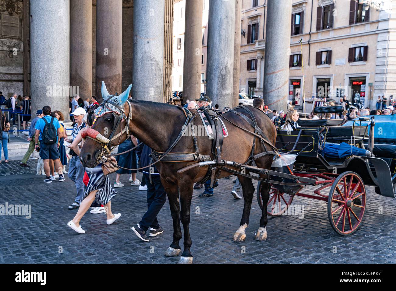 Cavallo e carrozza fuori Pantheon (Basilica di San Maria e i Martiri ...