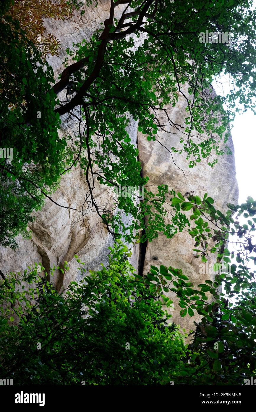 Un grande rilievo rupestre altomedievale scolpito sulla madara immagini ...
