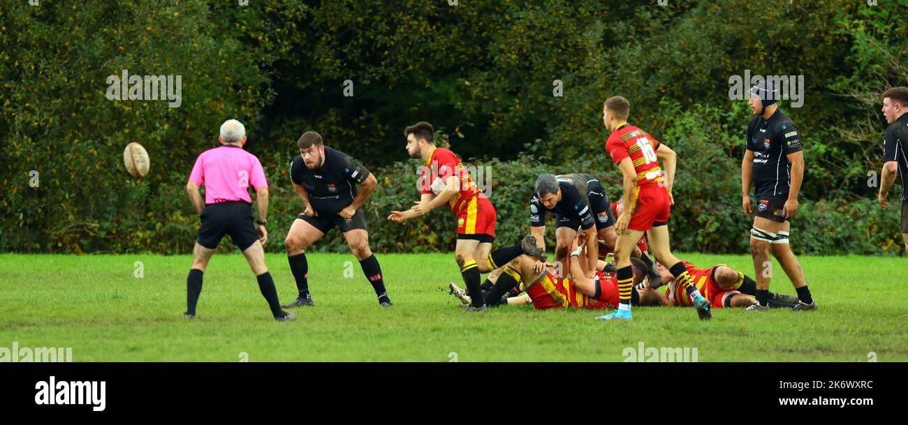 Maesteg celtico rfc immagini e fotografie stock ad alta risoluzione - Alamy
