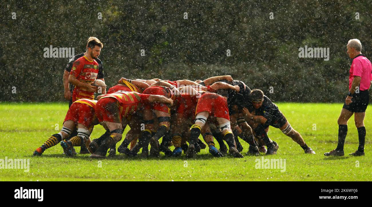 Maesteg celtico rfc immagini e fotografie stock ad alta risoluzione - Alamy