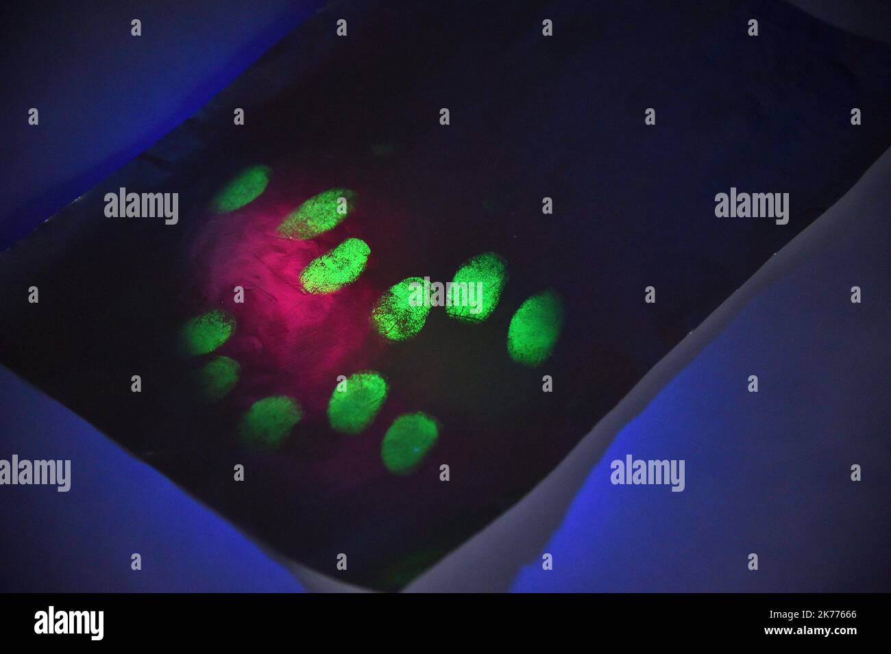 ©PHOTOPQR/VOIX DU NORD - A Lille, Cosimo Prete, un ancien archéologue ...