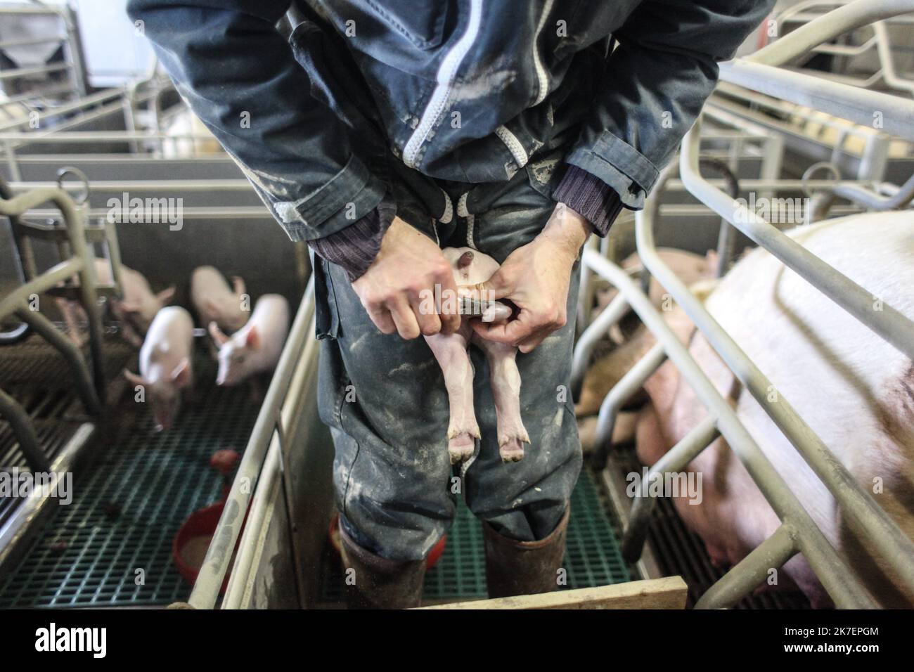 Â-PHOTOPQR/LE TELEGRAMMA/Lionel le Saux ; COATREVEN ; 23/03/2009 ; FOTO ...