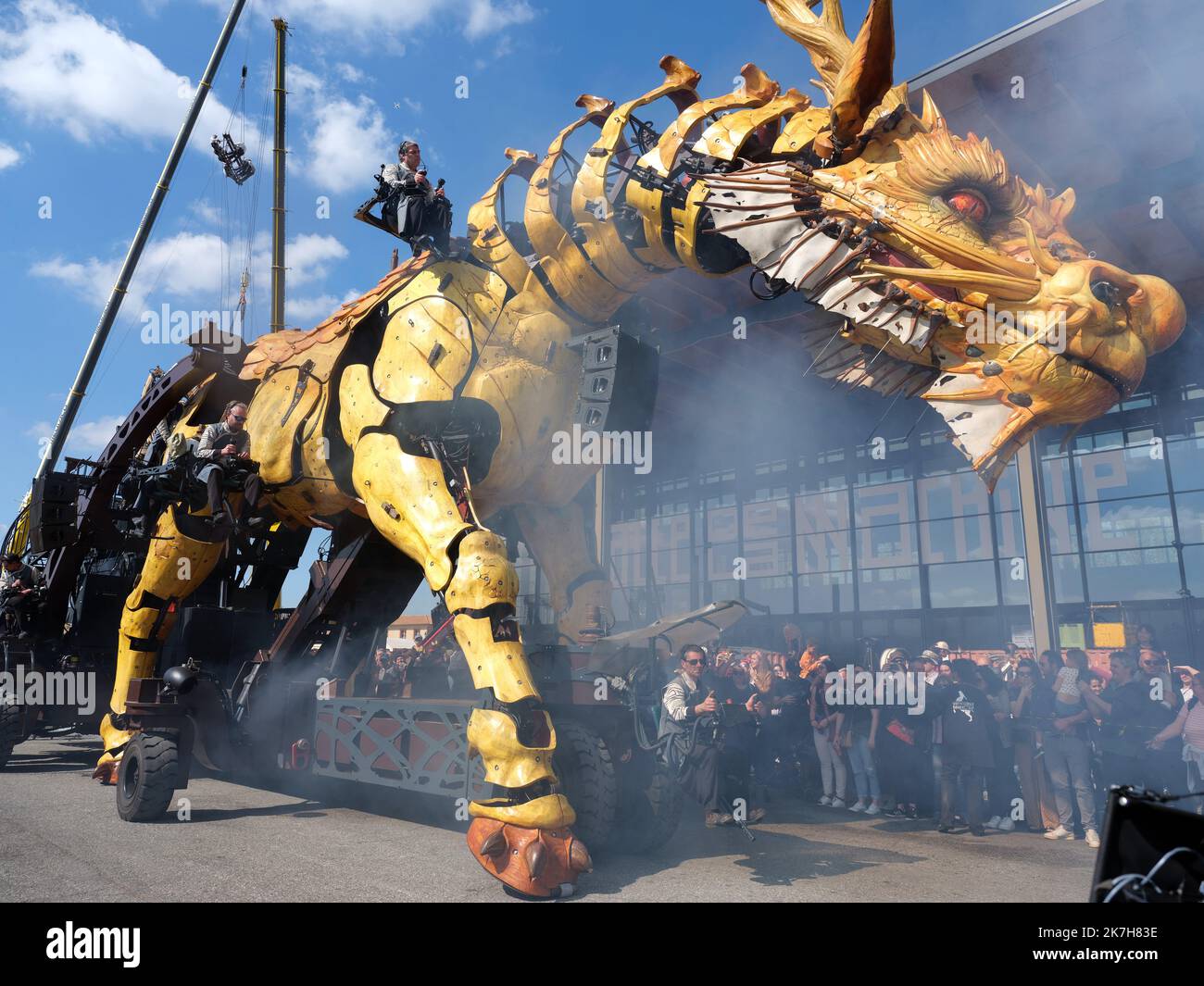 Cavallo cheval de dragon immagini e fotografie stock ad alta ...