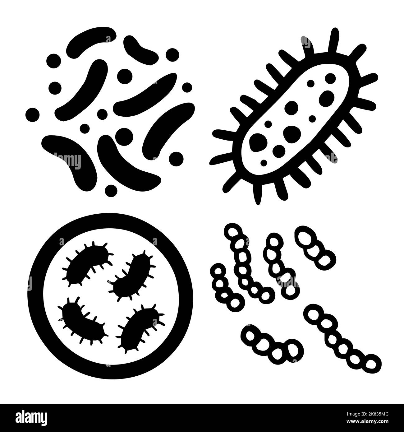 Tipos de bacterias microbiologia immagini e fotografie stock ad alta ...