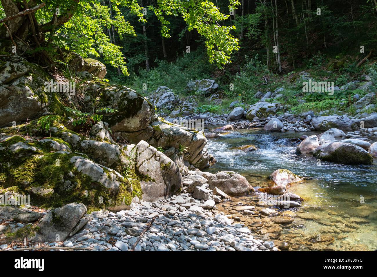 Fiume gilt immagini e fotografie stock ad alta risoluzione - Alamy