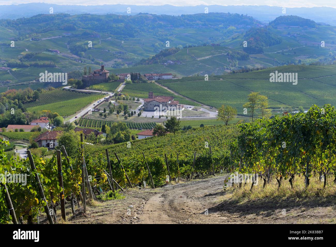 Langhe vigneti immagini e fotografie stock ad alta risoluzione - Alamy
