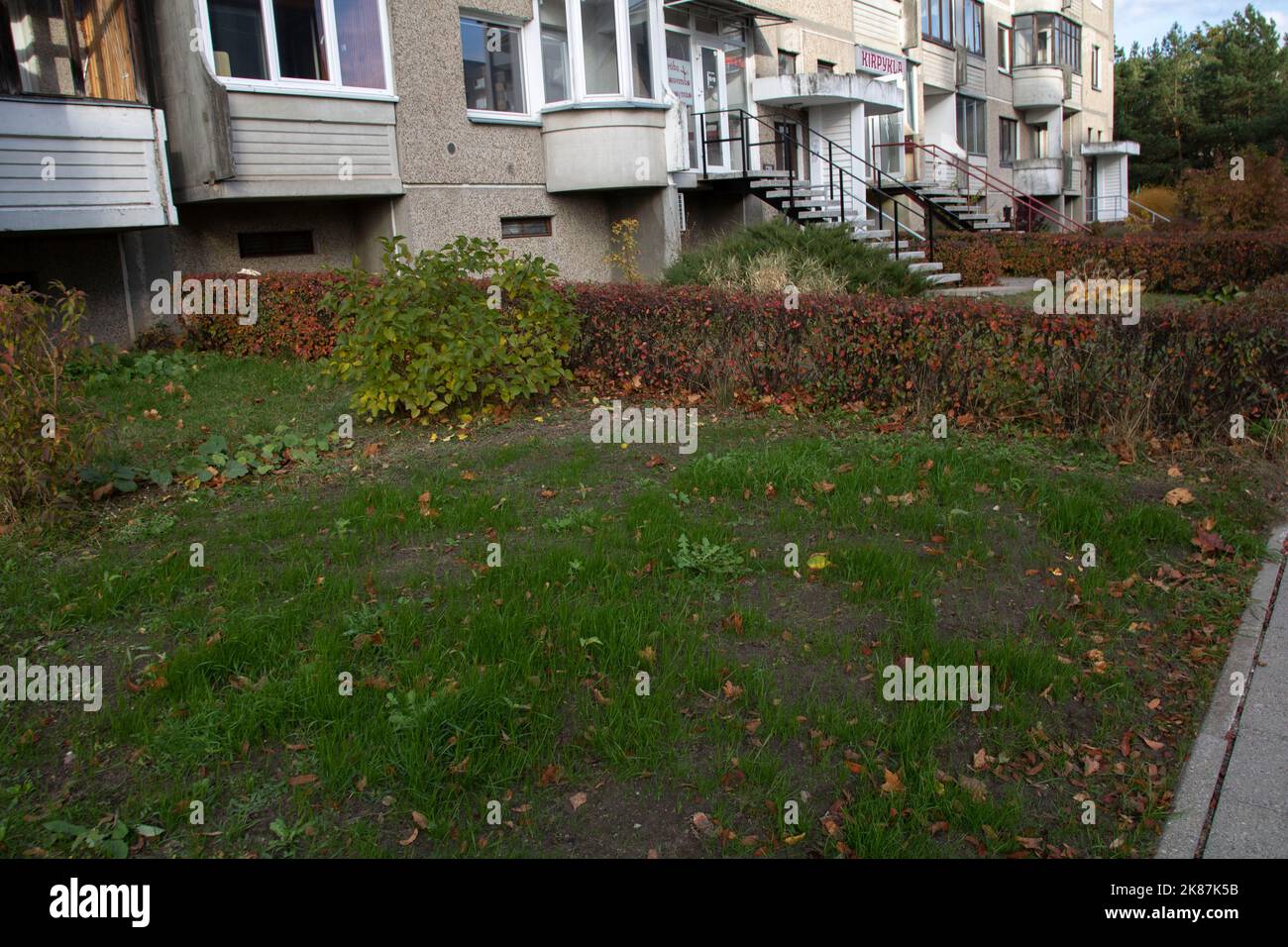 Prato ingiallito immagini e fotografie stock ad alta risoluzione - Alamy