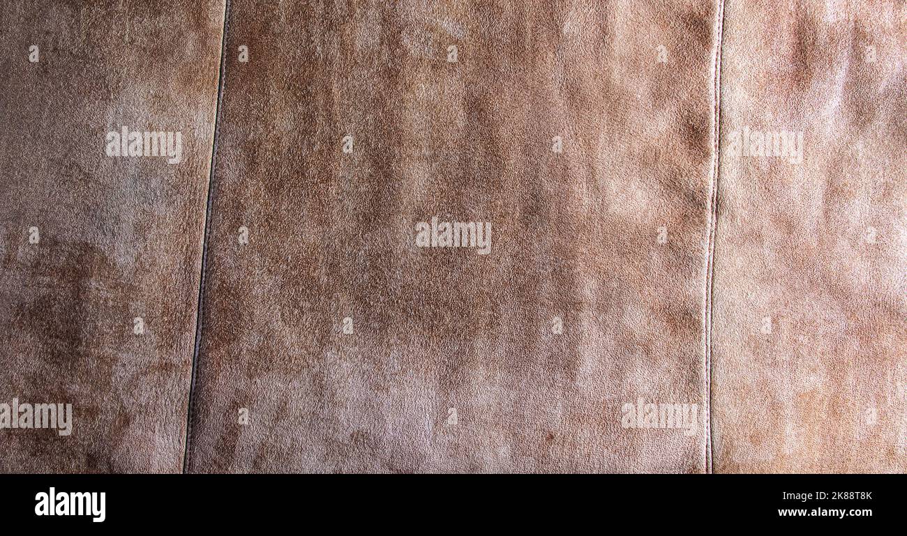 Rivestimento in pelle beige immagini e fotografie stock ad alta ...
