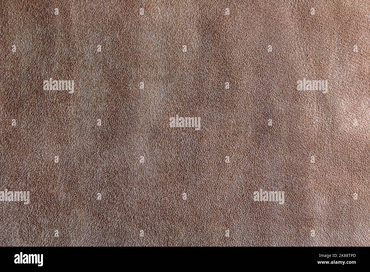 Rivestimento in pelle beige immagini e fotografie stock ad alta ...