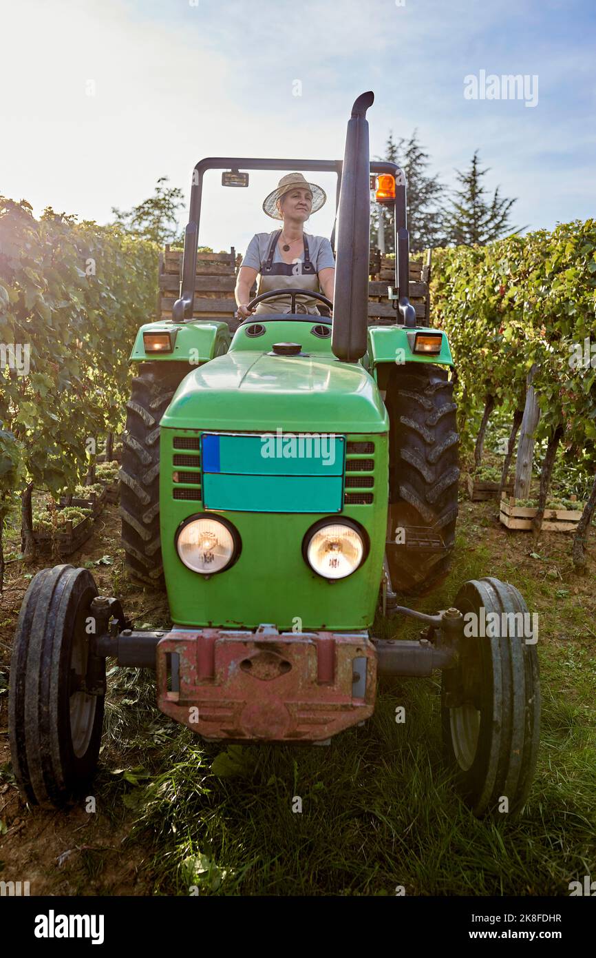 Contadino sul trattore immagini e fotografie stock ad alta risoluzione ...