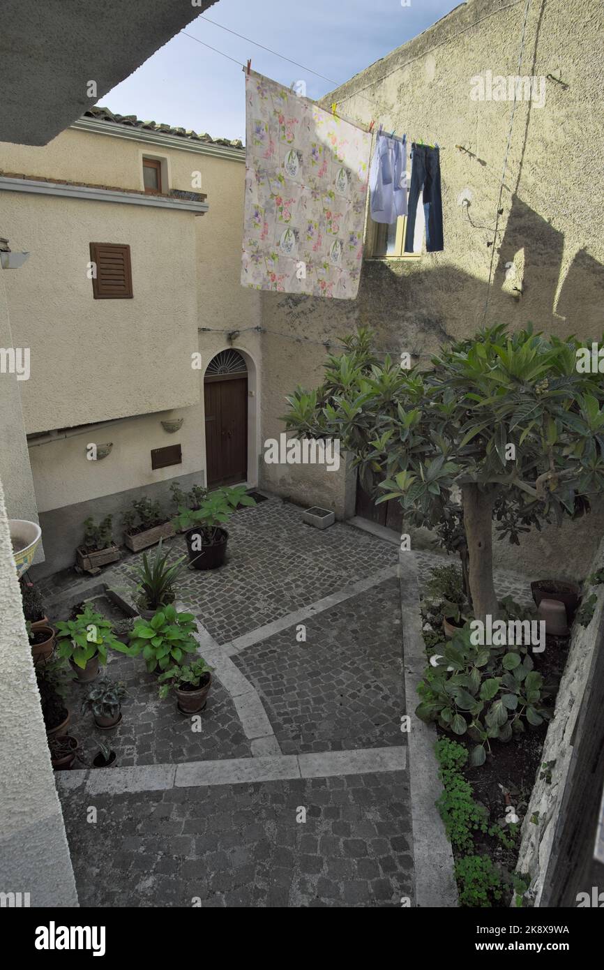 Casa del nespolo immagini e fotografie stock ad alta risoluzione - Alamy