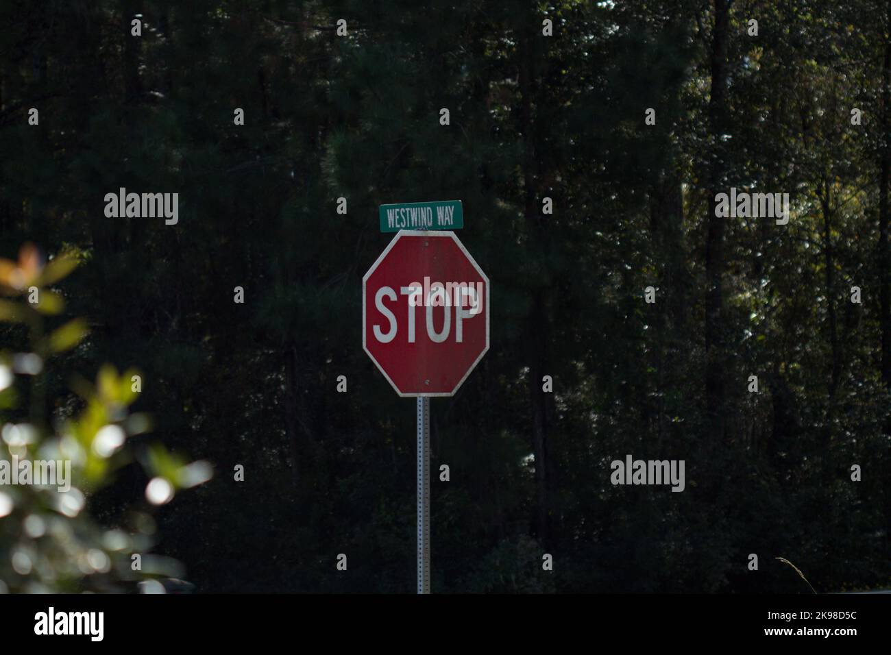 Segnale di stop americano immagini e fotografie stock ad alta ...