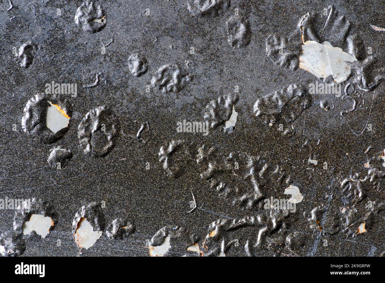Ptfe scheggiato immagini e fotografie stock ad alta risoluzione - Alamy
