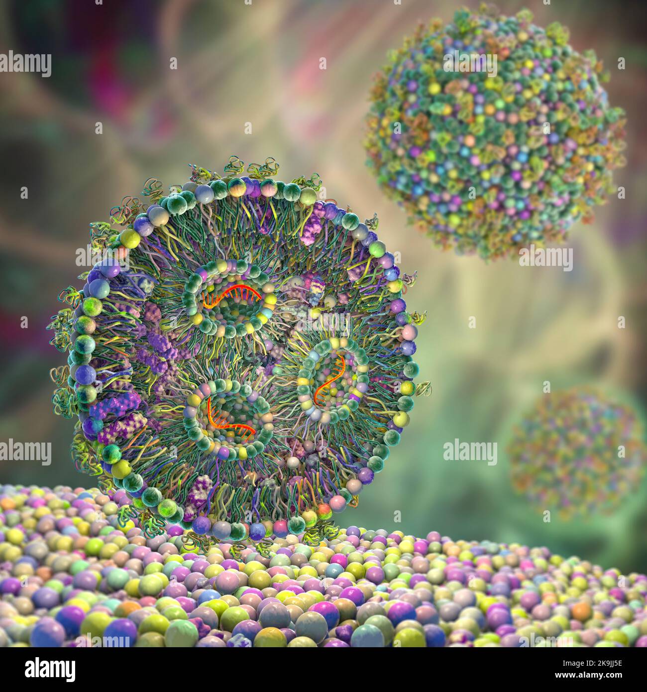 Acido ribonucleico messaggero immagini e fotografie stock ad alta ...