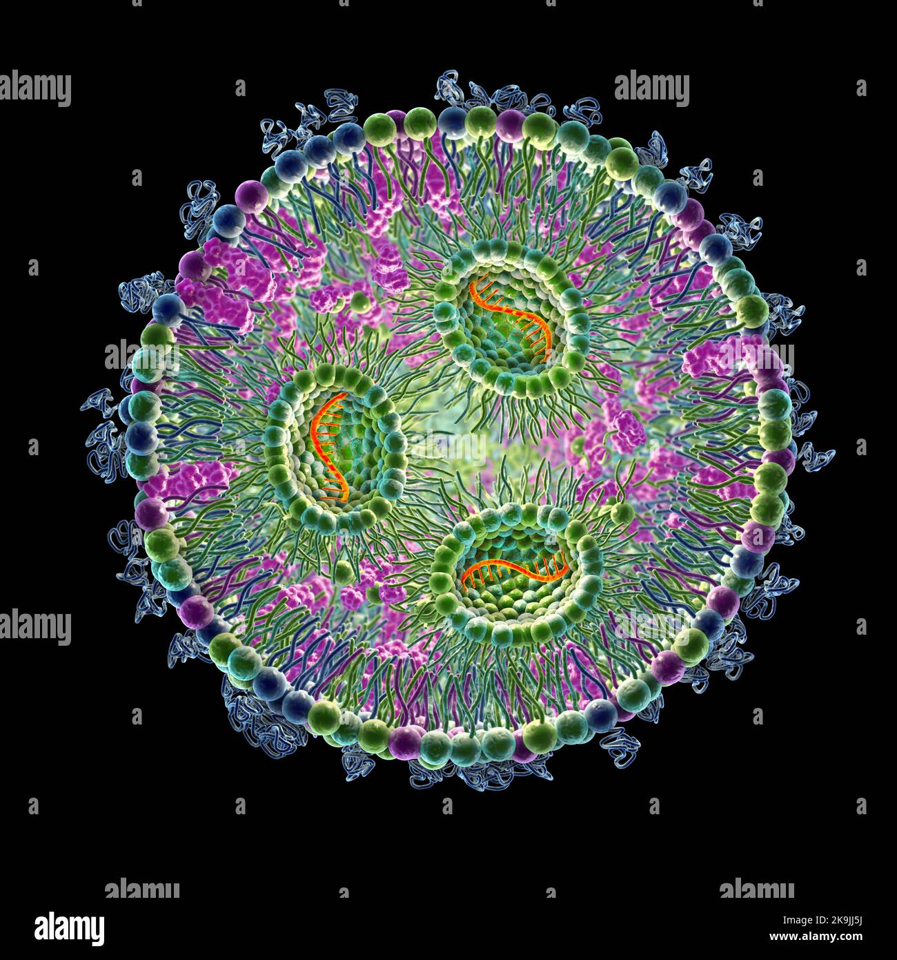Acido ribonucleico messaggero immagini e fotografie stock ad alta ...
