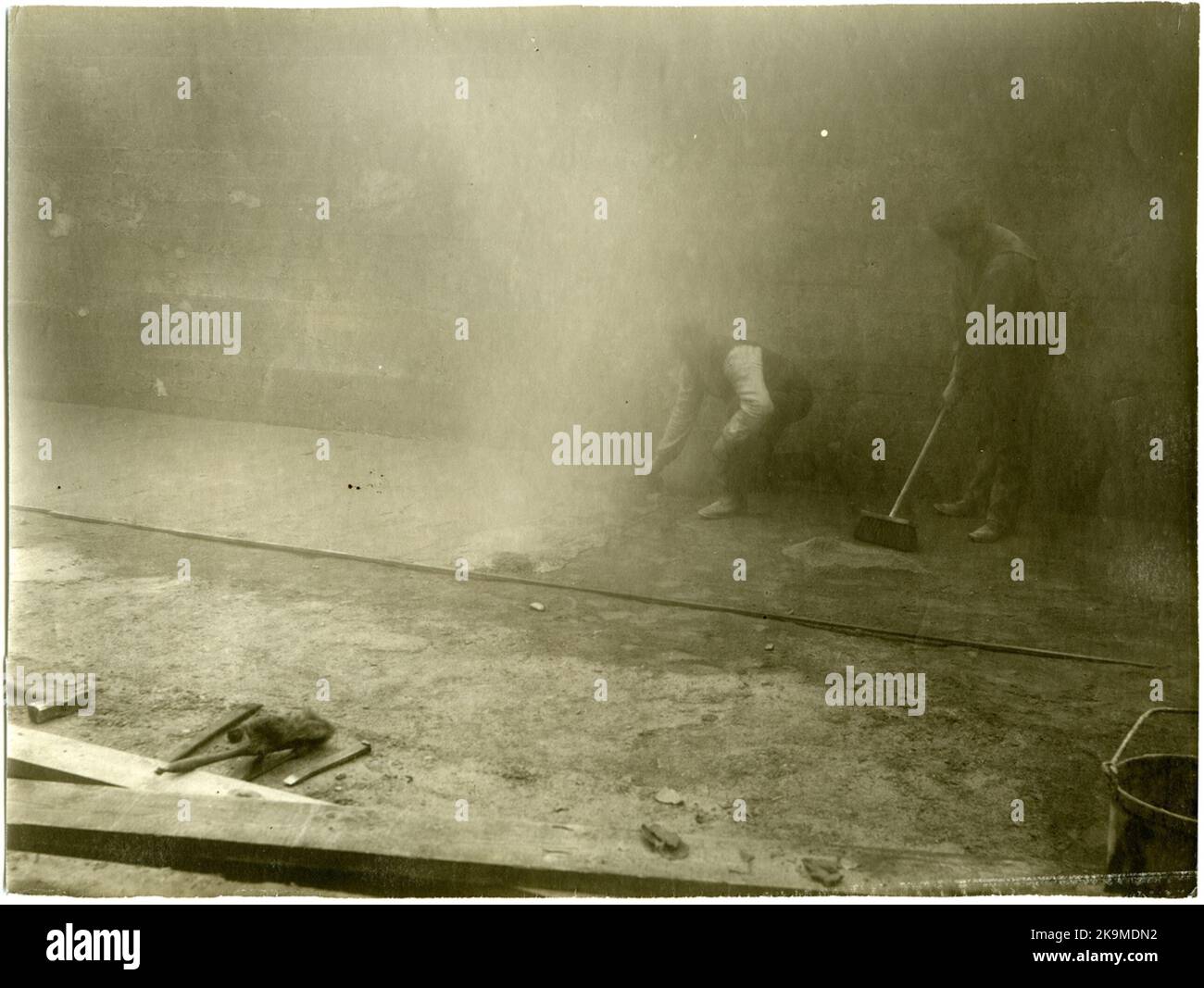 Pianta di catrame Immagini senza sfondo e Foto Stock ritagliate - Alamy