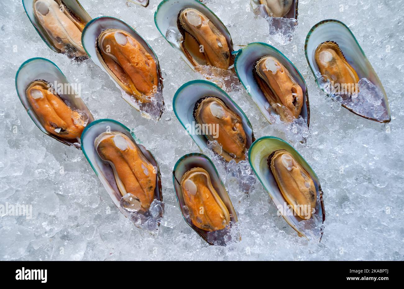 Cozze congelate immagini e fotografie stock ad alta risoluzione - Alamy