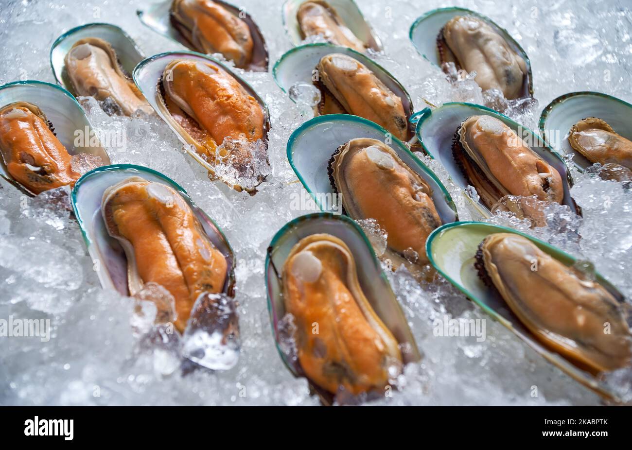 Cozze congelate immagini e fotografie stock ad alta risoluzione - Alamy