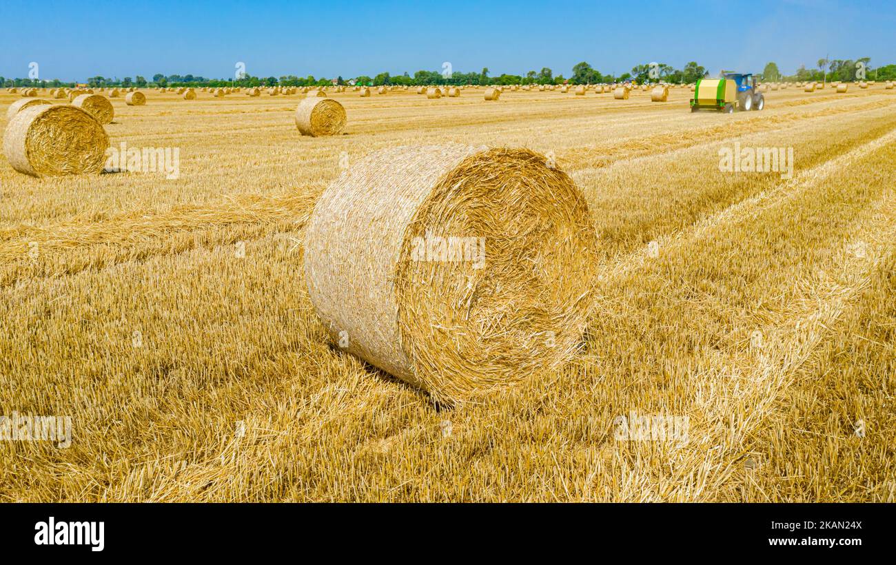 Vista dall'alto balla rotonda di paglia dopo la mietitura, in ...
