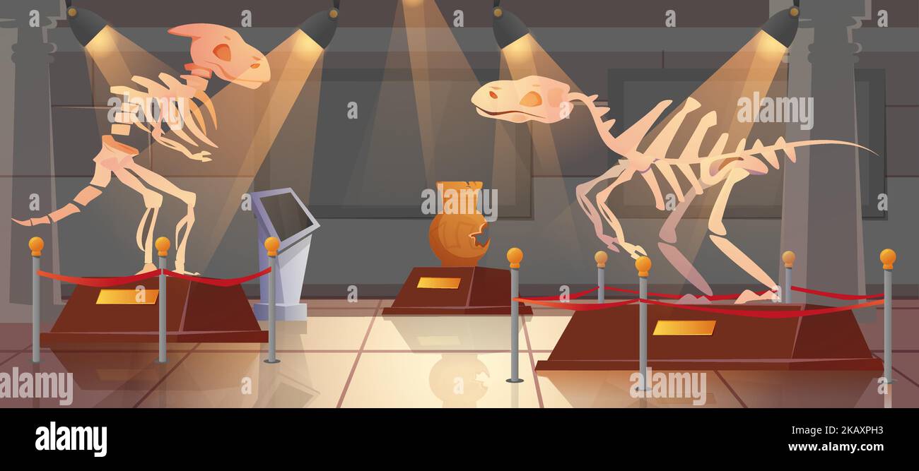 Museo della preistoria Immagini Vettoriali Stock - Alamy