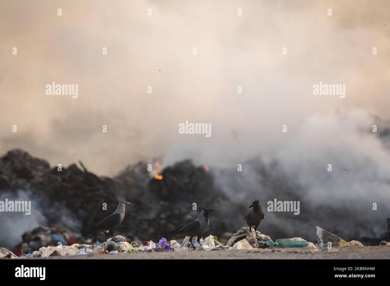 La capitale del bangladesh, dacca immagini e fotografie stock ad alta ...