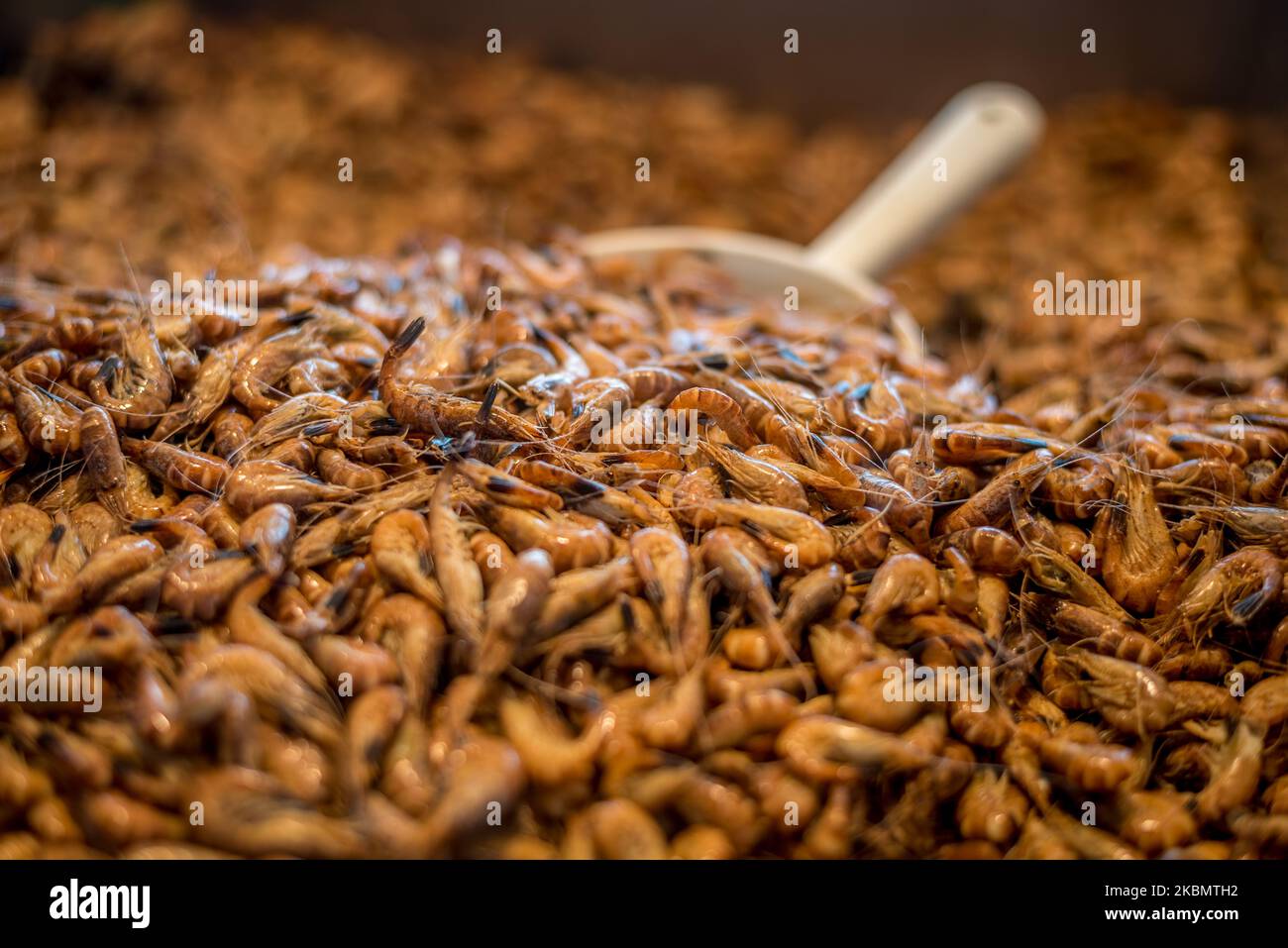 Fondo per la pesca immagini e fotografie stock ad alta risoluzione - Alamy