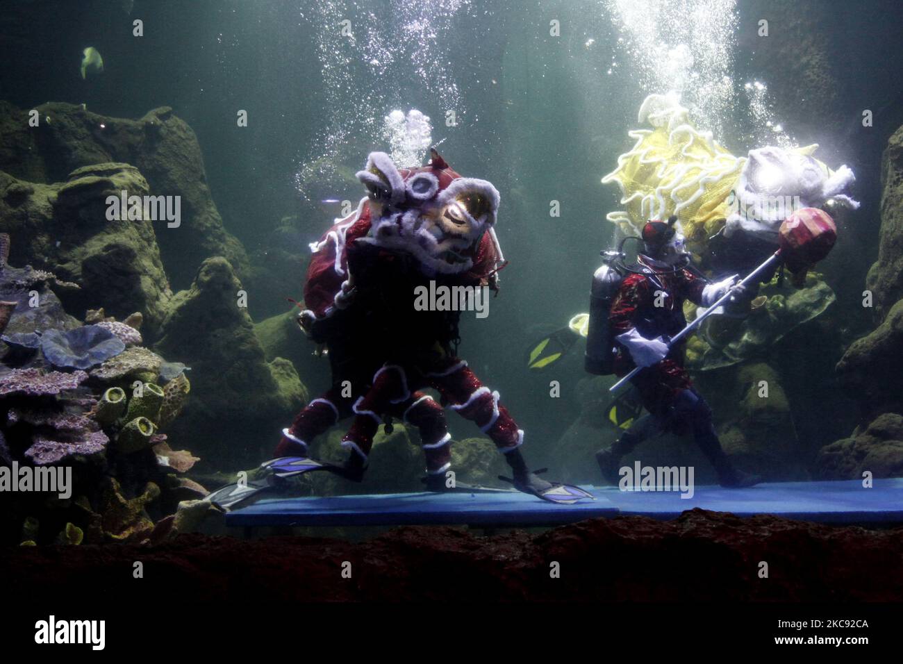 I subacquei eseguono una danza subacquea dei leoni presso il Giant ...