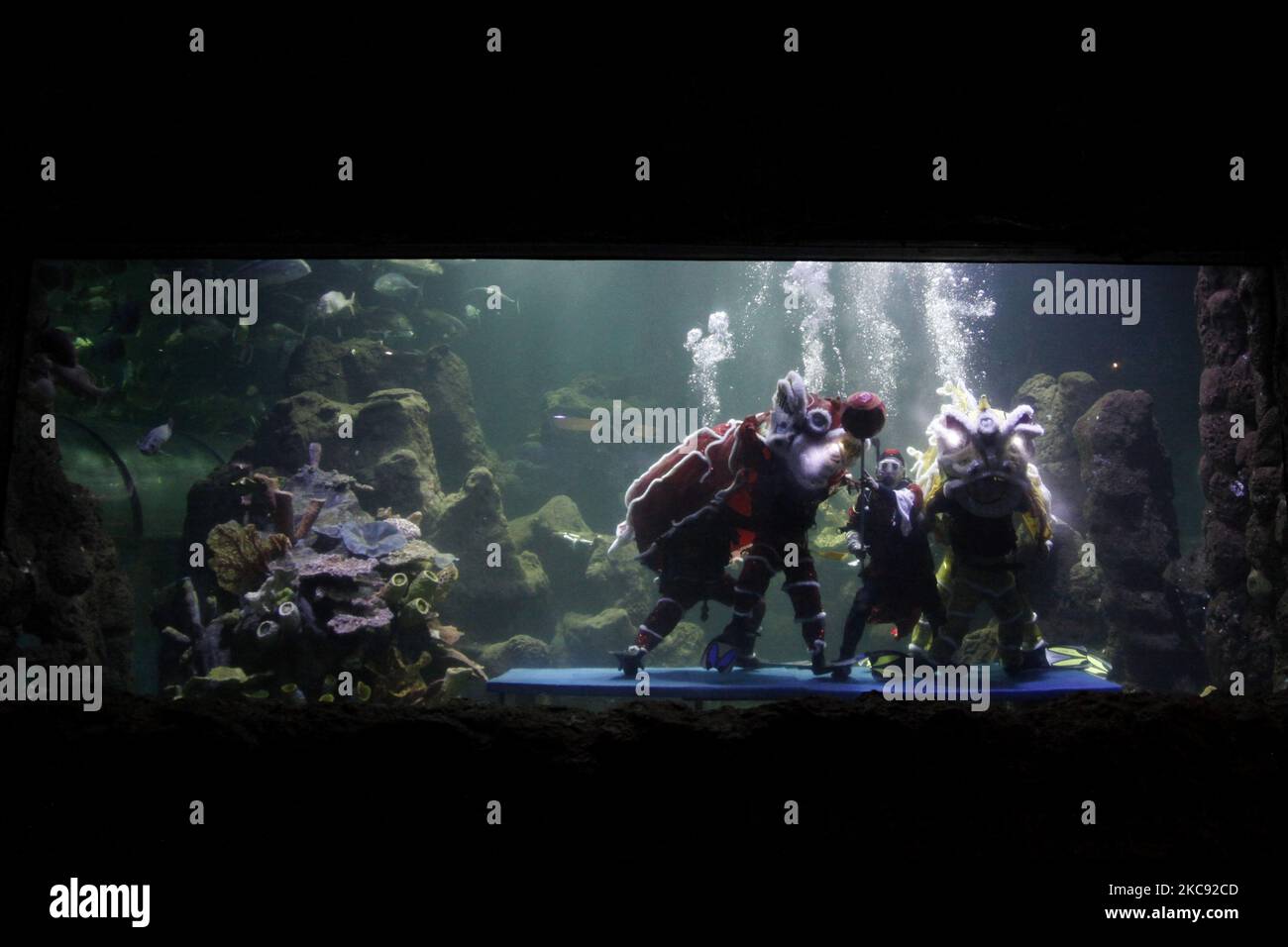 Danza del leone sott'acqua immagini e fotografie stock ad alta ...