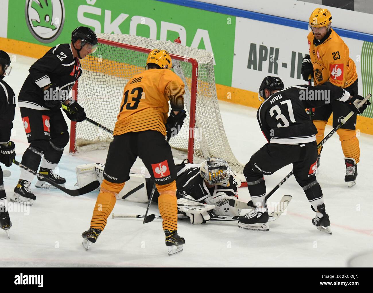 Luca fazzini lugano hockey champions hockey league match immagini e ...
