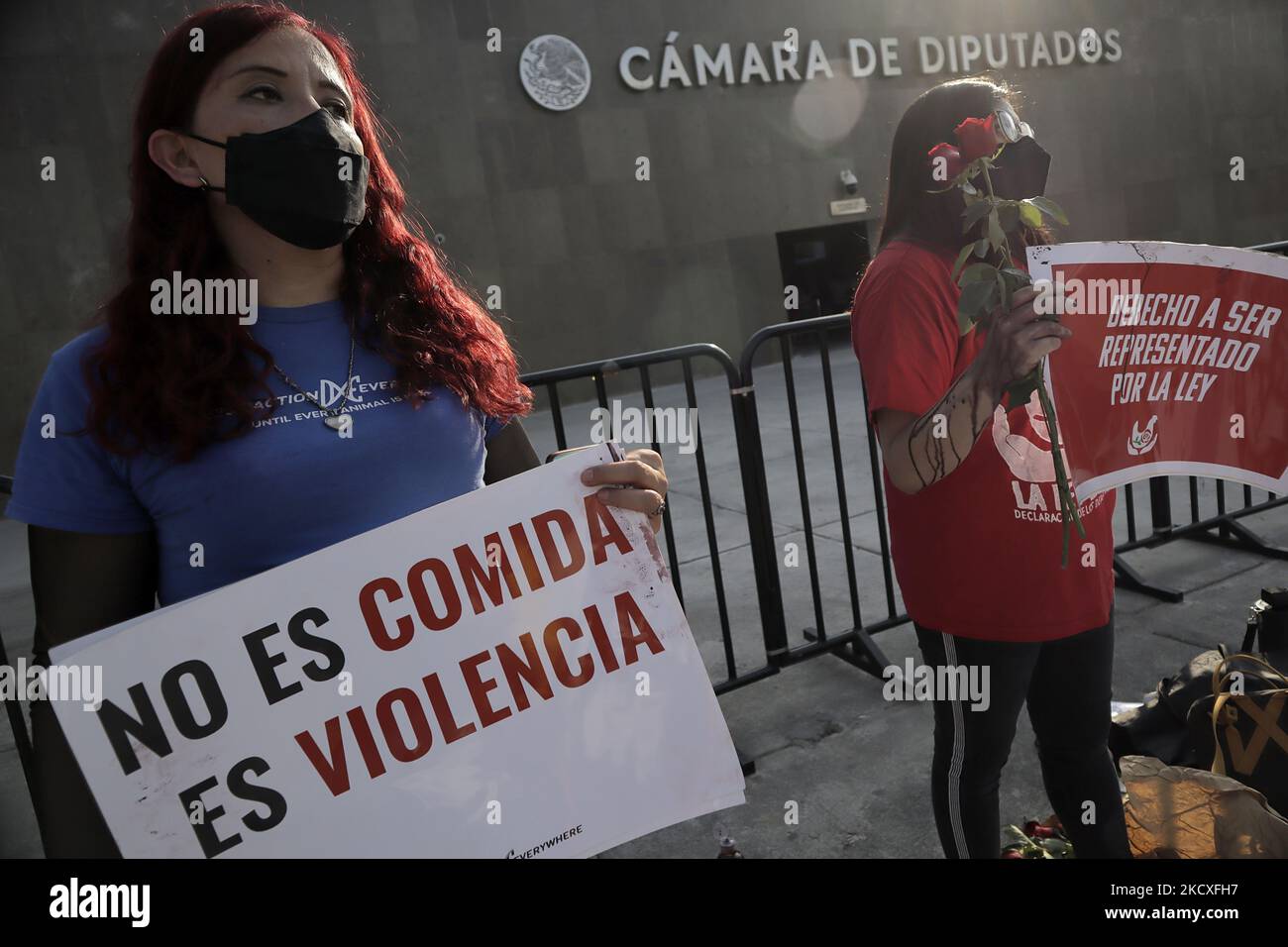 Ley de rose immagini e fotografie stock ad alta risoluzione - Alamy