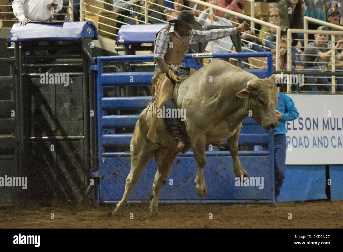 Ricky ringer sr immagini e fotografie stock ad alta risoluzione - Alamy