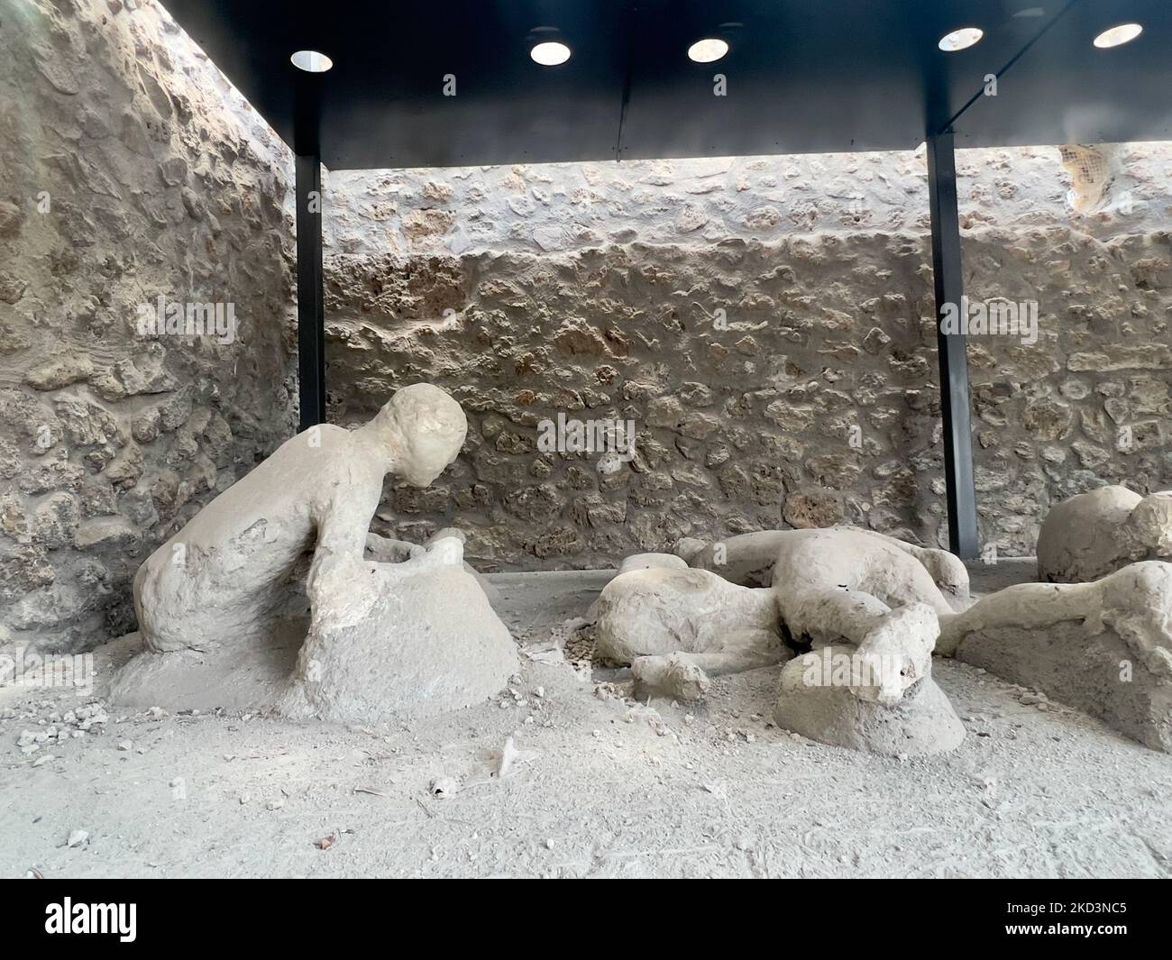 Resti umani archeologici immagini e fotografie stock ad alta ...