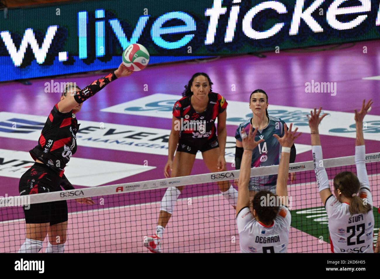 Giorgia zannoni bosca s bernardo cuneo immagini e fotografie stock ad ...