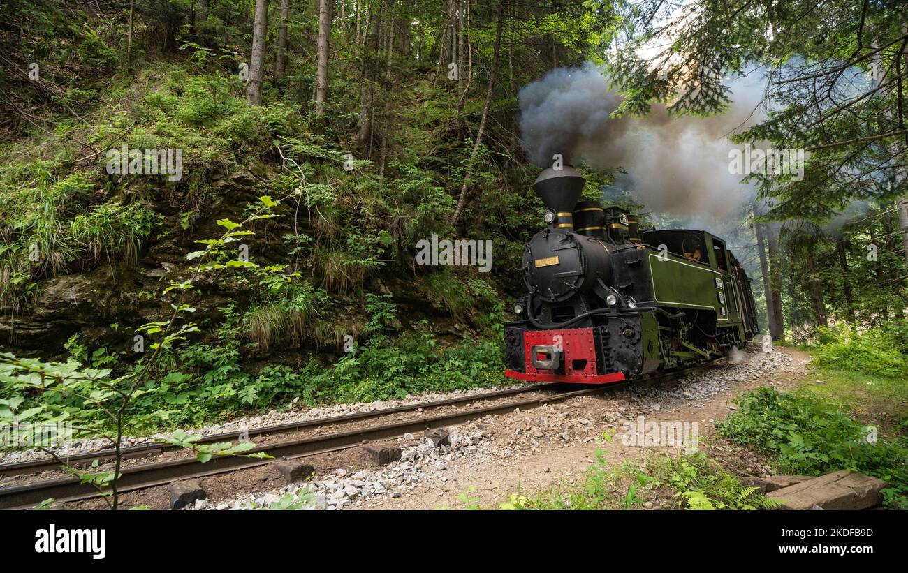 Vecchio treno a vapore, puffing lungo i binari / Mocanita Maramures Romania. Treno a vapore d ...