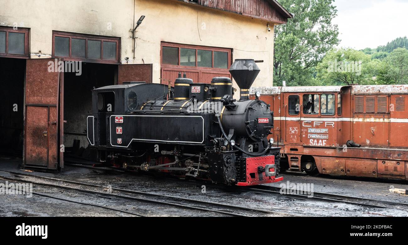 Vecchio treno a vapore, puffing lungo i binari / Mocanita Maramures Romania. Treno a vapore d ...