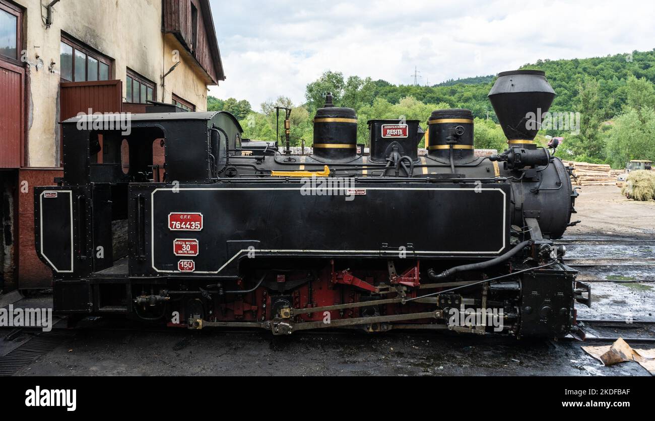 Vecchio treno a vapore, puffing lungo i binari / Mocanita Maramures Romania. Treno a vapore d ...